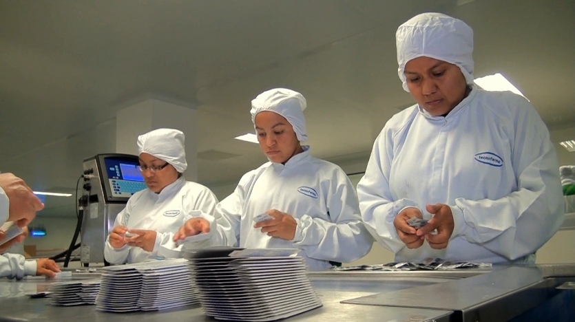 Tecnofarma | Bausch Health